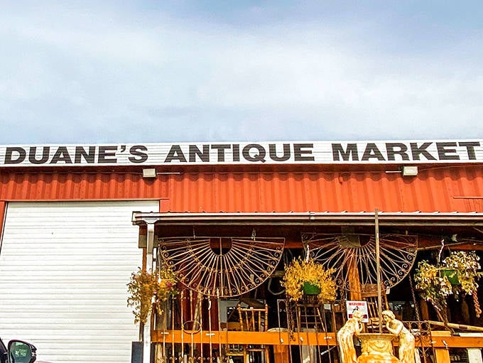 That sign against the Alaskan sky isn't just advertising&mdash;it's a portal to the past, where every object has a story waiting to be adopted.