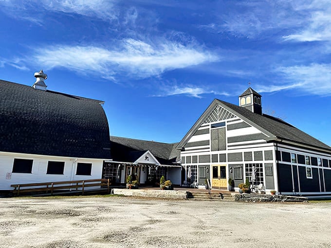 The classic barn exterior with its distinctive cupola stands proudly against a Massachusetts sky&mdash;thrift shopping with architectural gravitas.
