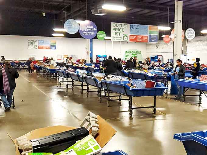 The legendary blue bins in their natural habitat - a thrifting ecosystem where patience yields incredible rewards.