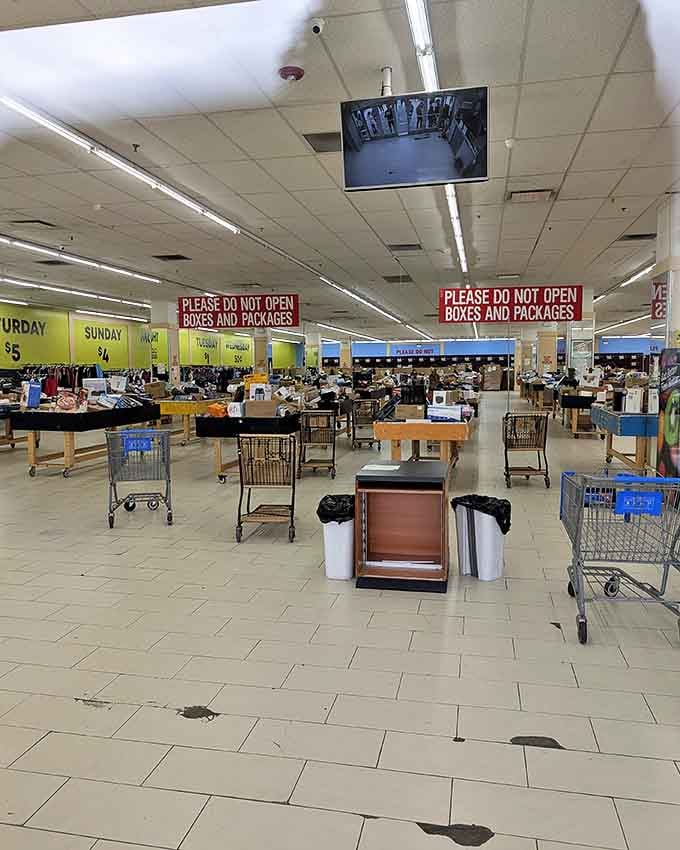 Treasure hunting in progress! The store's vast interior reveals a landscape of potential finds where daily deals rotate like the hands of a very generous clock.