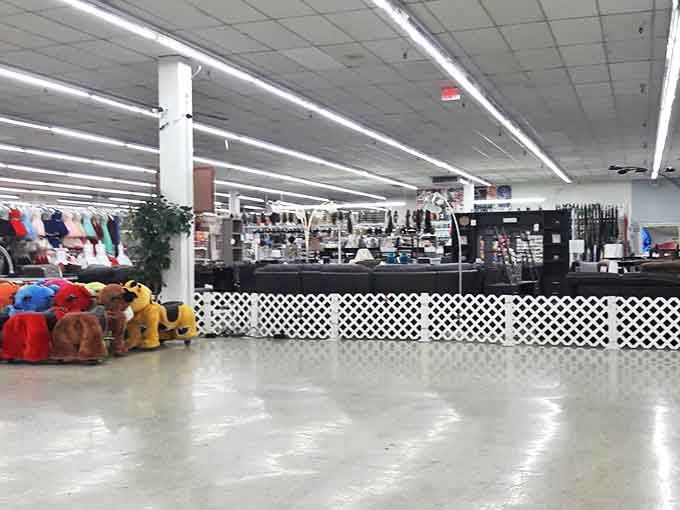 Fluorescent lights illuminate a retail wilderness where the thrill of discovery replaces the need for fancy displays or mood lighting.