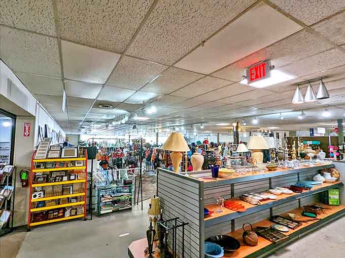Step inside and the thrifting universe expands before your eyes—lamps, shoes, and endless possibilities arranged with surprising order in this secondhand galaxy.