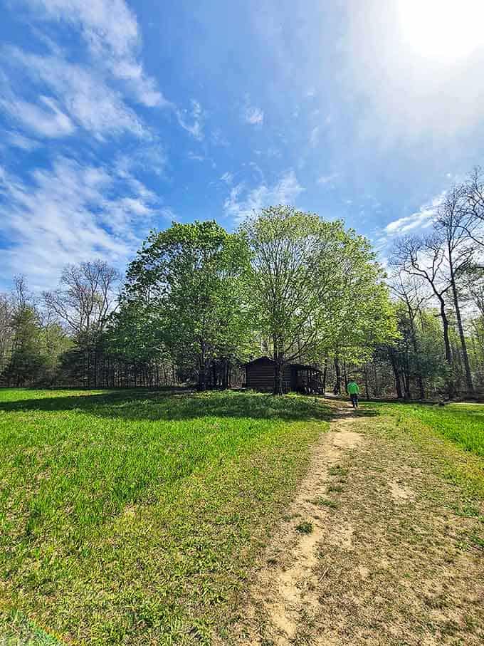 Blue skies, green meadows, and a rustic cabin&mdash;this scene is more soothing than any meditation app on your phone could ever be.