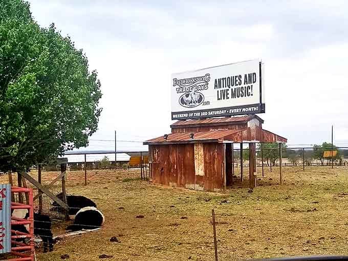 The sign says it all – antiques and live music, a combination as perfectly Texan as boots and bluebonnets.