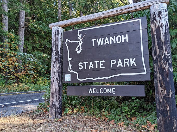 The classic Washington State Park sign welcomes visitors like an old friend, standing sentinel among ferns and forest that whisper, "You've arrived."
