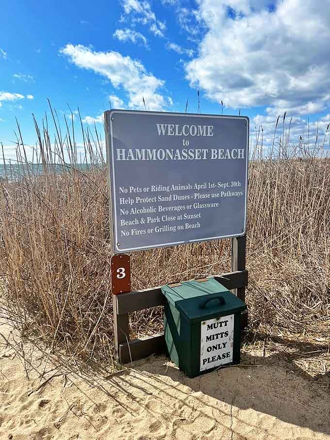 The welcoming committee may be a simple sign, but behind it lies Connecticut's coastal crown jewel&mdash;two miles of sandy paradise waiting to be explored.