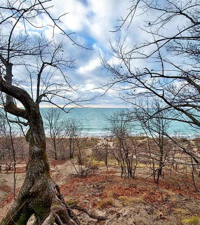 Winter's bare branches frame Lake Michigan like nature's own picture window. The off-season reveals the park's sculptural beauty when the crowds have vanished.