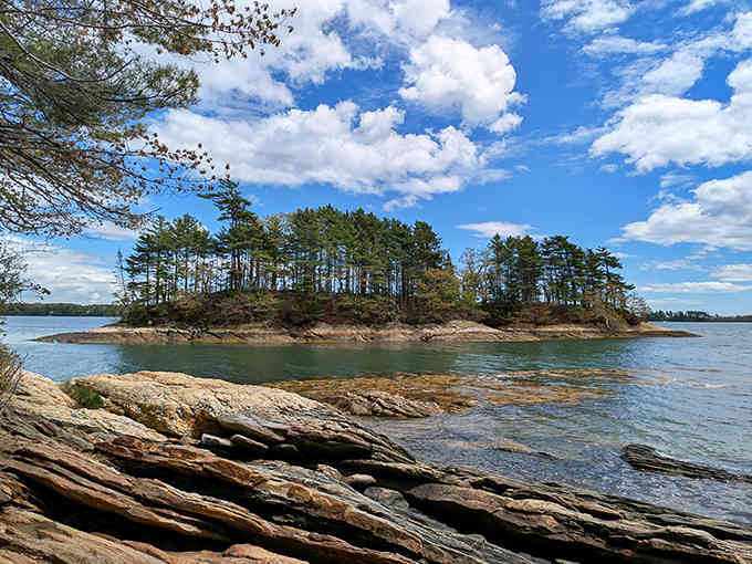 That island sitting pretty in the distance is basically Maine saying "I told you so" about work-life balance.