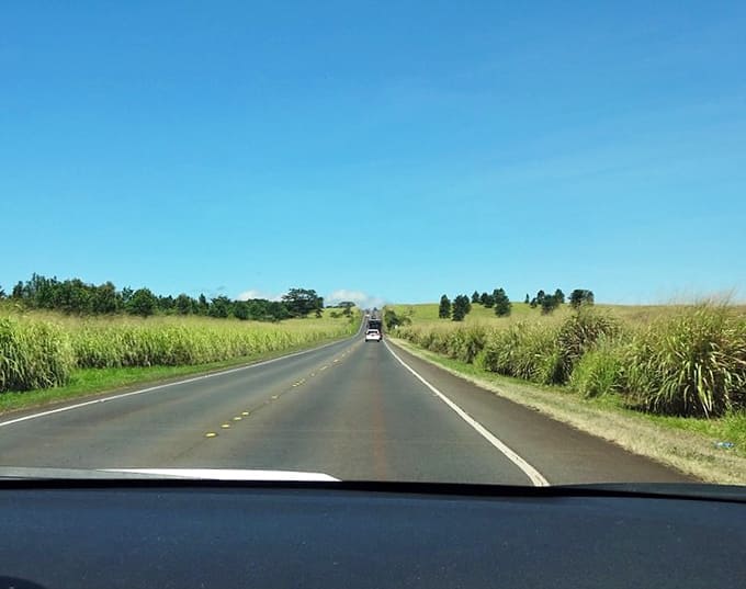 Sugar cane fields stretch toward the horizon, creating a golden-green corridor that makes you feel like you're driving through Hawaii's agricultural soul.