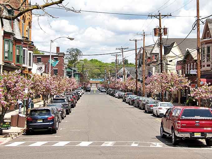 Clinton's Main Street blooms with spring cherry blossoms, creating a picture-perfect small town scene that invites leisurely strolls.
