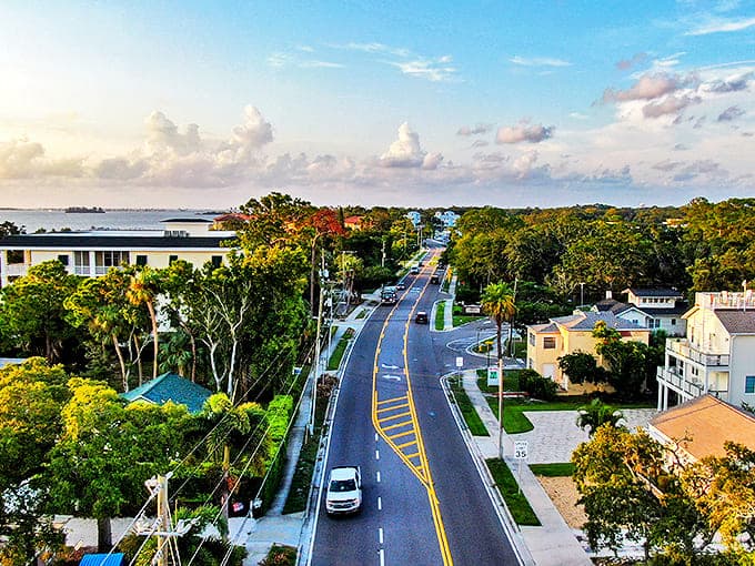 Dunedin's tree-lined streets lead to waterfront vistas where dolphins occasionally upstage even the most spectacular sunsets.