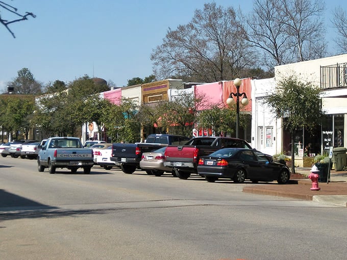 Georgetown's historic district feels like stepping into a time machine where brick streets and classic architecture tell stories of yesteryear.