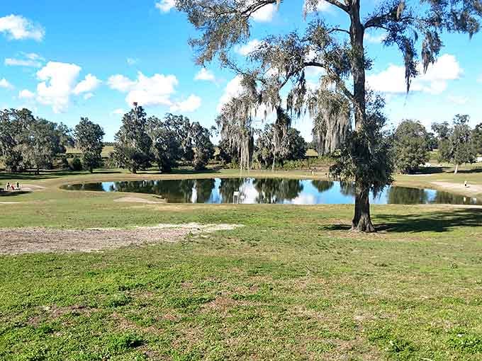 Tranquility finds its perfect reflection at this serene DeLand park, where Spanish moss-draped oaks stand sentinel over mirror-like waters.