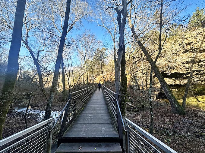 Winter reveals the park's skeleton in the most beautiful way. This boardwalk journey through bare trees feels like walking through a scene from "The Crown."