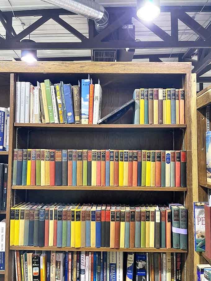 Literary time capsules lined up like soldiers of nostalgia. These colorful spines hold stories both within their pages and in their journey to this shelf.