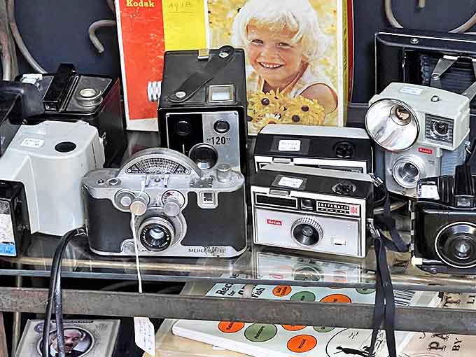These vintage cameras have captured countless birthdays, vacations, and "just because" moments. Now they're ready for their own close-up.