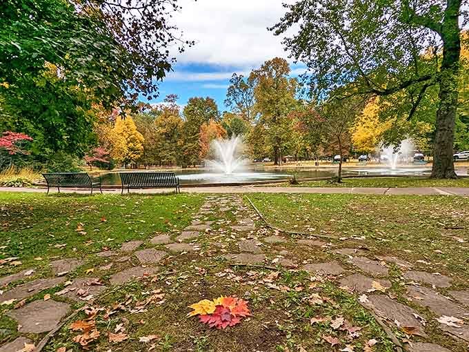 Central Park's autumn transformation turns ordinary benches into front-row seats for Mother Nature's most spectacular seasonal performance.