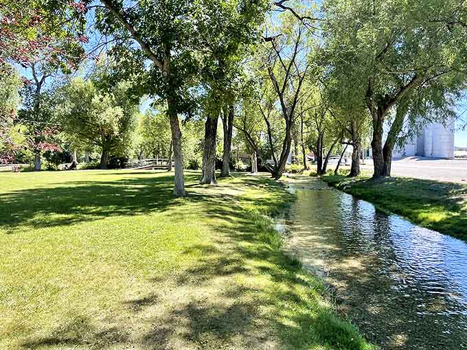 Spring Creek meanders through town like nature's own Main Street, offering shady respite and the soothing soundtrack of Montana's gentle waters.