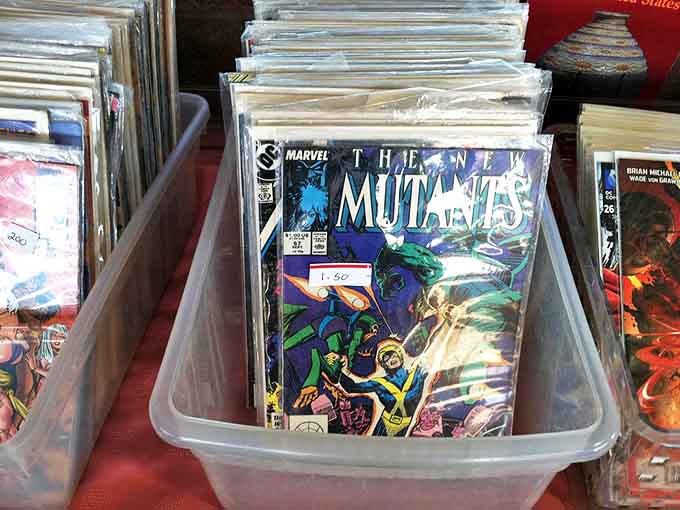 Comic book heaven awaits collectors, where forgotten superheroes from decades past wait patiently in plastic sleeves for their chance at resurrection.