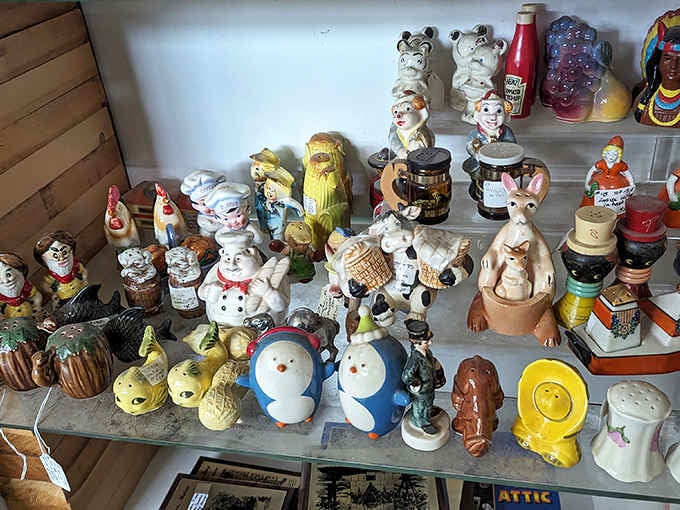 An army of vintage salt and pepper shakers stands at attention. These ceramic characters have witnessed decades of dinner conversations across countless Maine tables.