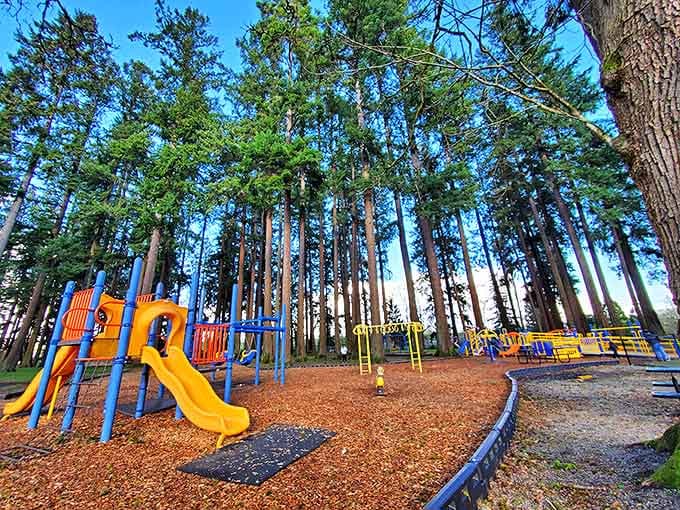 Fort Borst Park's playground stands like a colorful oasis beneath towering evergreens, where kids can play while parents pretend they're not envious of the slides.