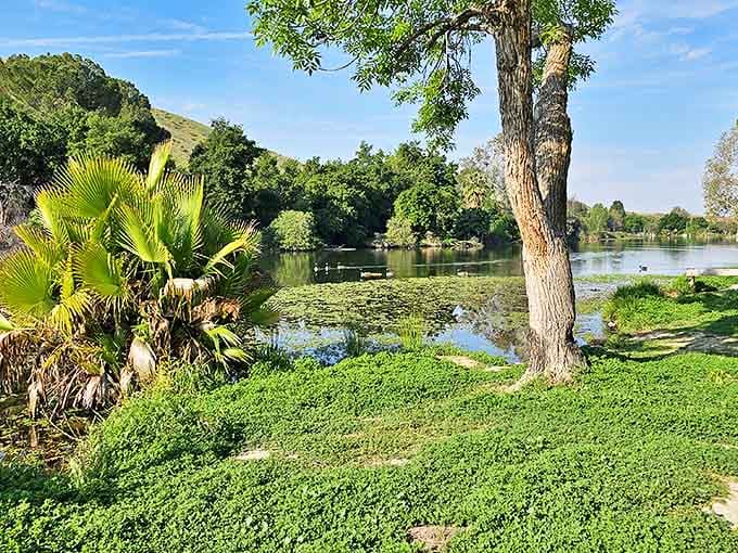 Hart Memorial Park offers that perfect blend of serenity and accessibility&mdash;nature that doesn't require a sherpa guide or emergency satellite phone.
