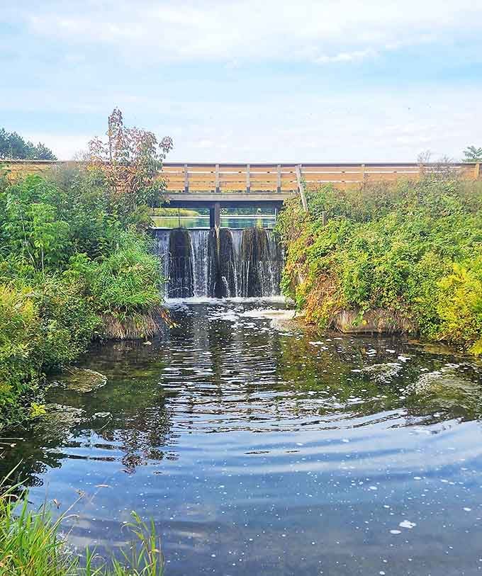 Not Niagara, but our own mini-waterfall provides the perfect soundtrack for your woodland meditation session.