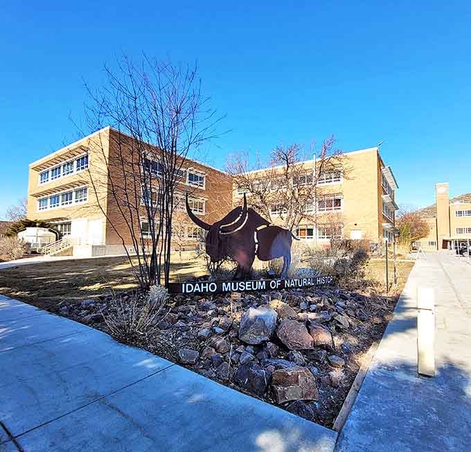 The Idaho Museum of Natural History stands proudly with its mammoth mascot, a not-so-subtle hint that Idaho's history is, well, mammoth-sized.