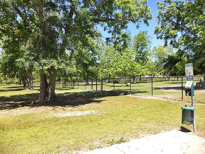 This park isn't trying to be Central Park, and that's exactly why it's perfect &ndash; simple, spacious, and ready for impromptu picnics or contemplative strolls.