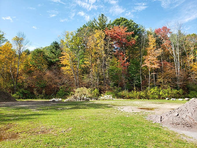 Mother Nature showing off her fall wardrobe. Vermont's autumn colors make even the most jaded leaf-peeper gasp in delight.
