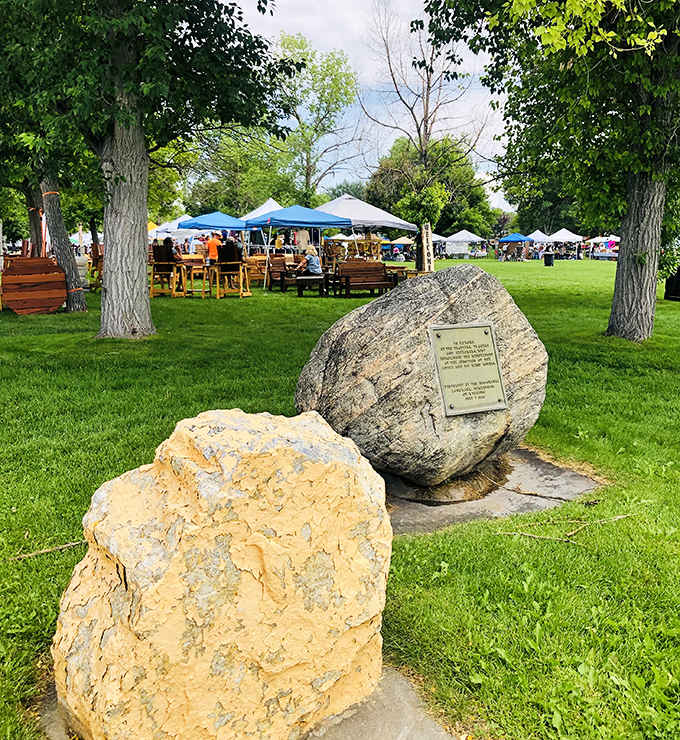 City Park transforms into a vibrant marketplace where locals gather under cottonwood shade &ndash; retirement's true luxury is having Tuesday mornings free for this.