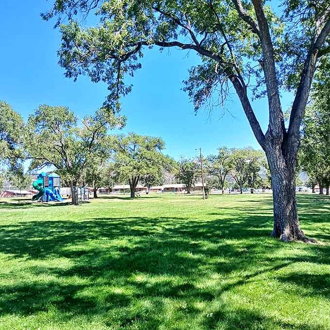 Romero Park's sprawling green space provides room to breathe, with mature trees offering shade perfect for picnics and community gatherings.