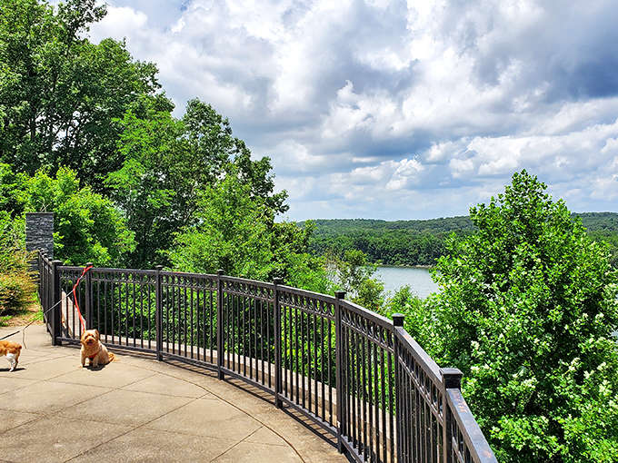 Nature's majesty unfolds at the Standpipe Overlook, where the Tennessee River curves through lush greenery, offering a peaceful respite from daily life.