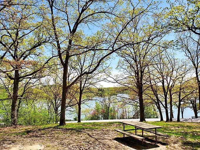 Thousand Hills State Park offers the kind of serene lakeside views that make you question why you ever thought city living was a good idea.