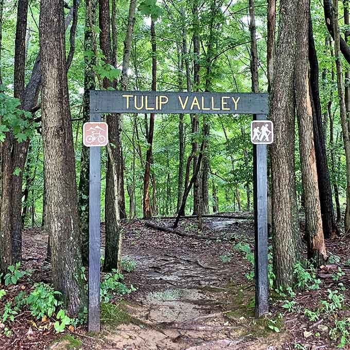 Welcome to Tulip Valley, where the trail signs might as well read "This Way to Serenity." Cyclists and hikers, your paradise awaits.