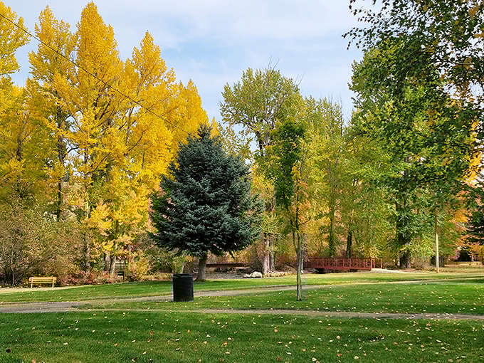 Fall paints Anaconda's parks with golden brushstrokes, creating the kind of seasonal beauty that makes smartphone cameras work overtime.