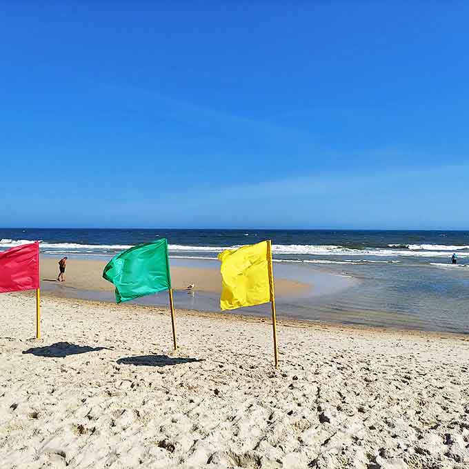 Beach flags flutter like colorful sentinels, marking safe swimming zones where the Atlantic meets pristine sand. Mother Nature's traffic lights for ocean enjoyment.