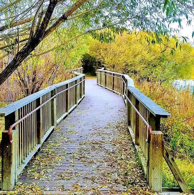 This leaf-strewn boardwalk isn't just a path&mdash;it's an invitation to adventure. Fall's golden tunnel beckons with promises of lakeside tranquility.