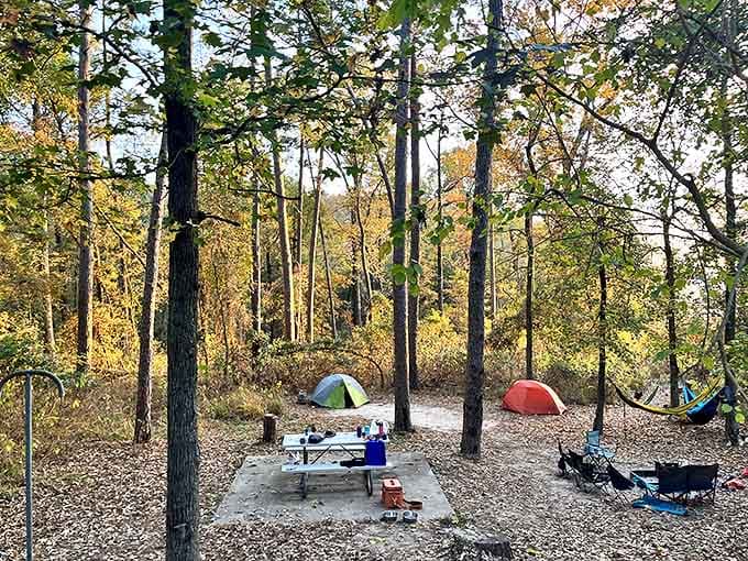 Camping nirvana: where your neighbors are trees, your ceiling is stars, and your alarm clock is a persistent woodpecker.