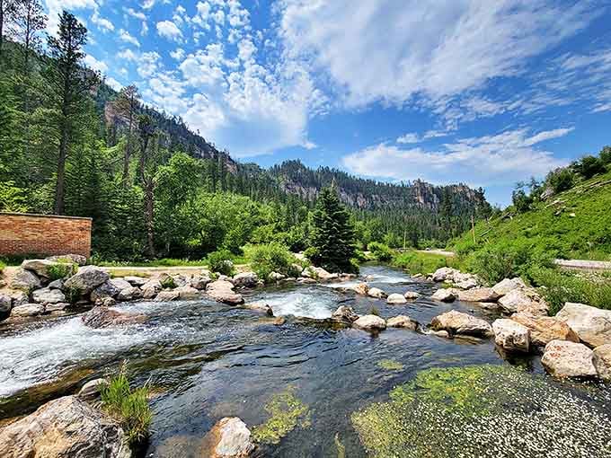 Spearfish Creek doesn't just flow, it tells stories. Each ripple and eddy is a paragraph in South Dakota's epic geological novel.
