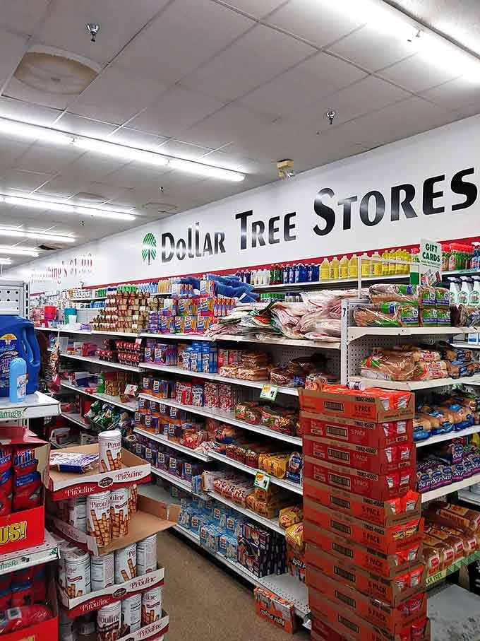Snack heaven awaits! Rows of familiar favorites and mysterious newcomers line these shelves, daring you to try something new for pocket change.