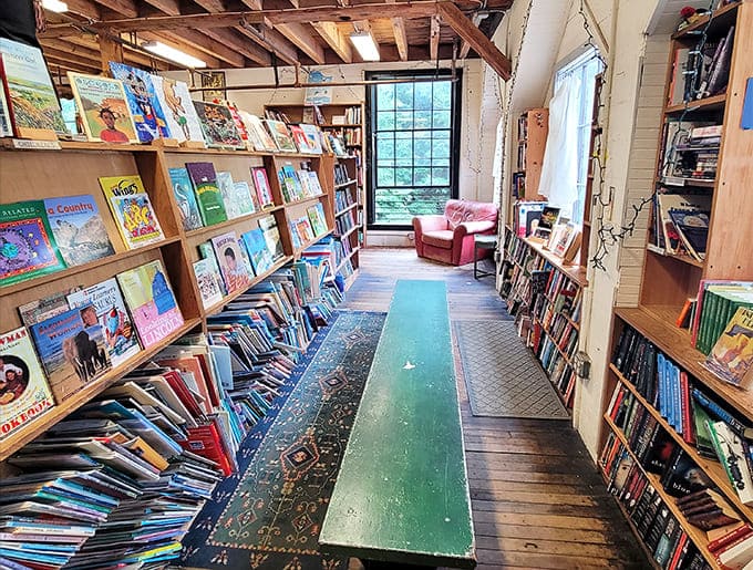 Narrow aisles lined with colorful spines create a literary treasure hunt, with that comfy armchair promising the perfect spot to sample your finds.