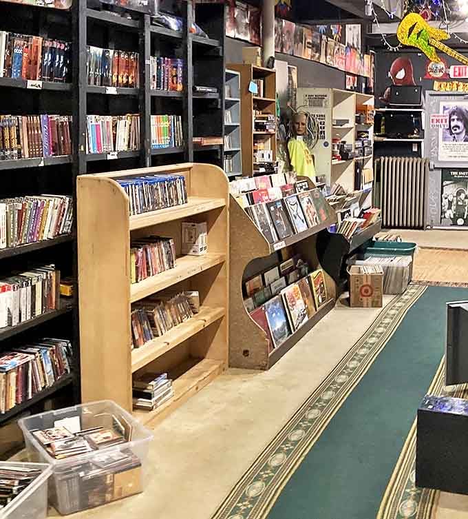 The media section is a time capsule of entertainment history, where forgotten films and albums await their second act.