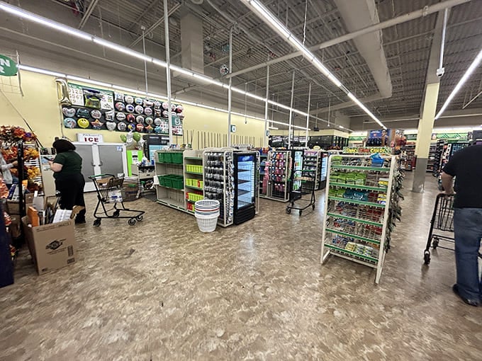 Wide aisles and bright lighting create a shopping experience that feels more "organized abundance" than "chaotic discount," unlike my kitchen junk drawer.