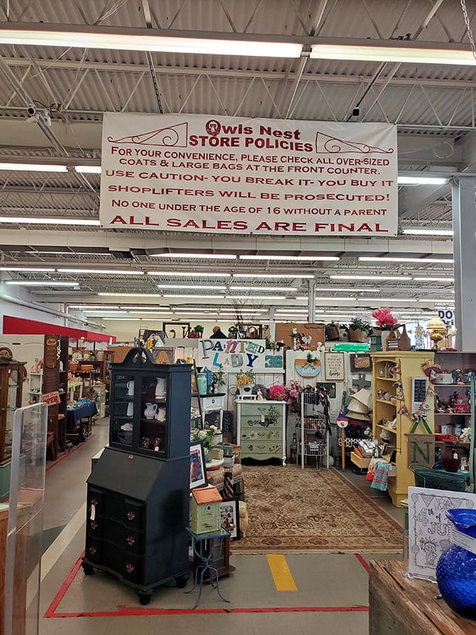 "You break it, you buy it" isn't just a warning&mdash;it's an invitation to a carefully organized chaos where every aisle promises discovery.