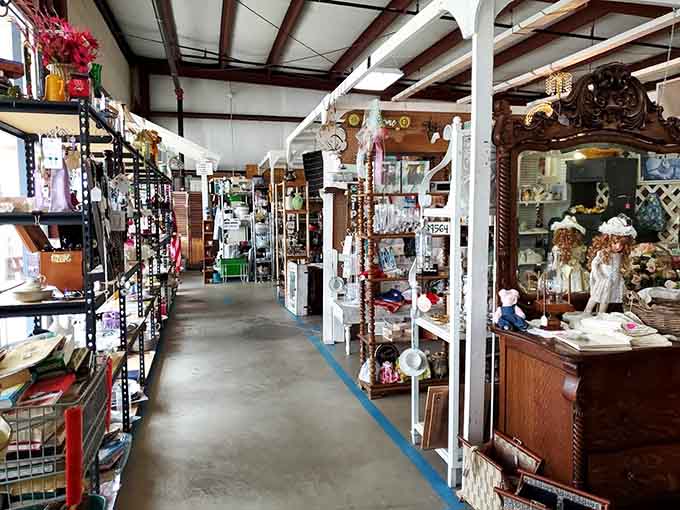 Down the rabbit hole you go! These organized aisles are like time-travel corridors where every turn reveals another decade's forgotten gems.