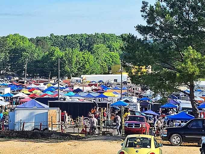 From this vantage point, the market resembles a vibrant patchwork quilt of blue and white canopies against the Alabama sky.
