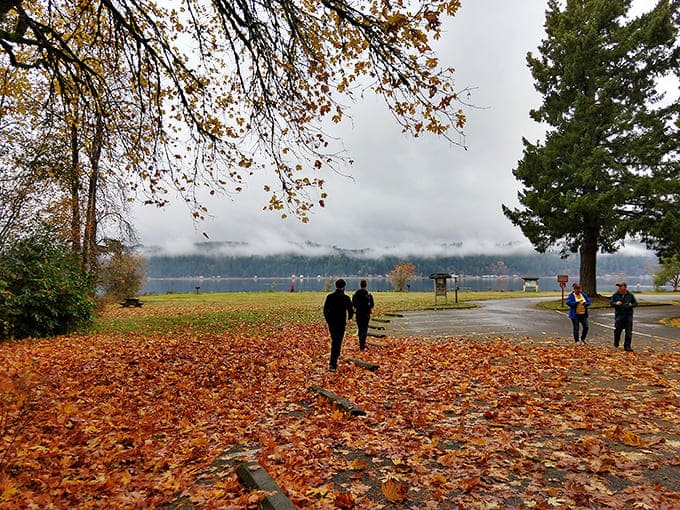 Autumn's golden carpet transforms Twanoh into a scene straight from a Pacific Northwest fairy tale &ndash; complete with misty mountains as the backdrop.