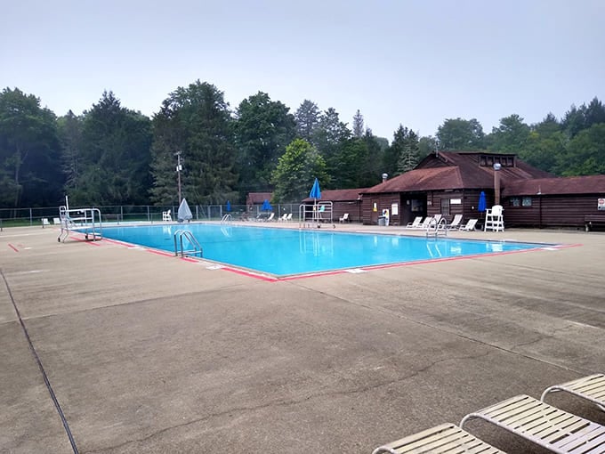 The swimming pool at Bendigo might be the only place where "taking the plunge" is both literal and refreshingly uncrowded. Summer perfection awaits!