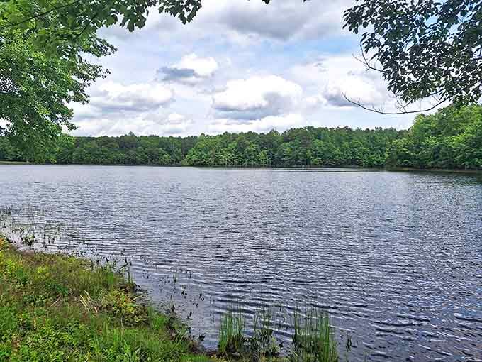 The lake reflects the sky like nature's own mirror, creating that rare perfect symmetry that makes amateur photographers look like professionals.